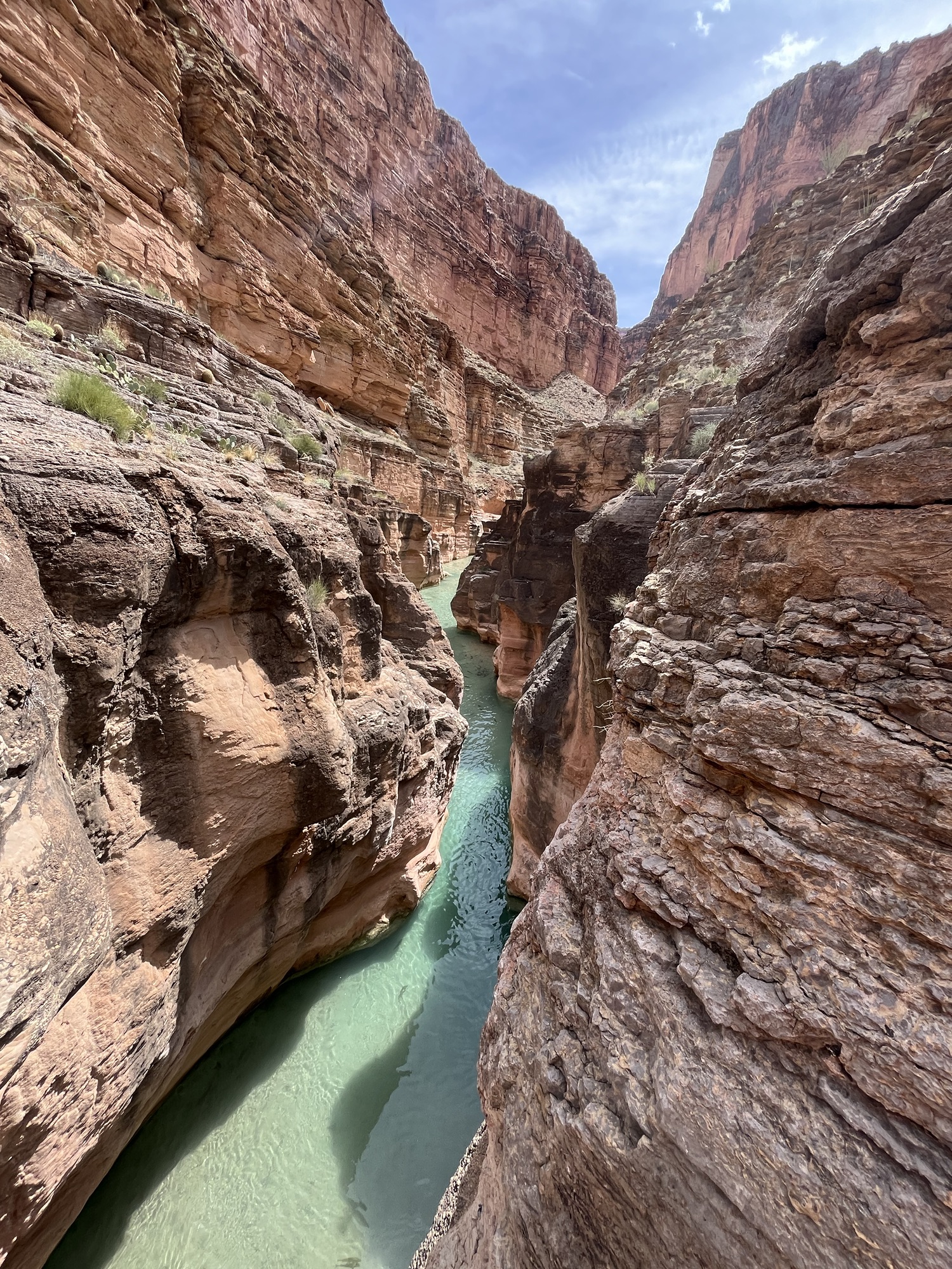 Freshwater Flows – An in depth look at how freshwater moves through our ...